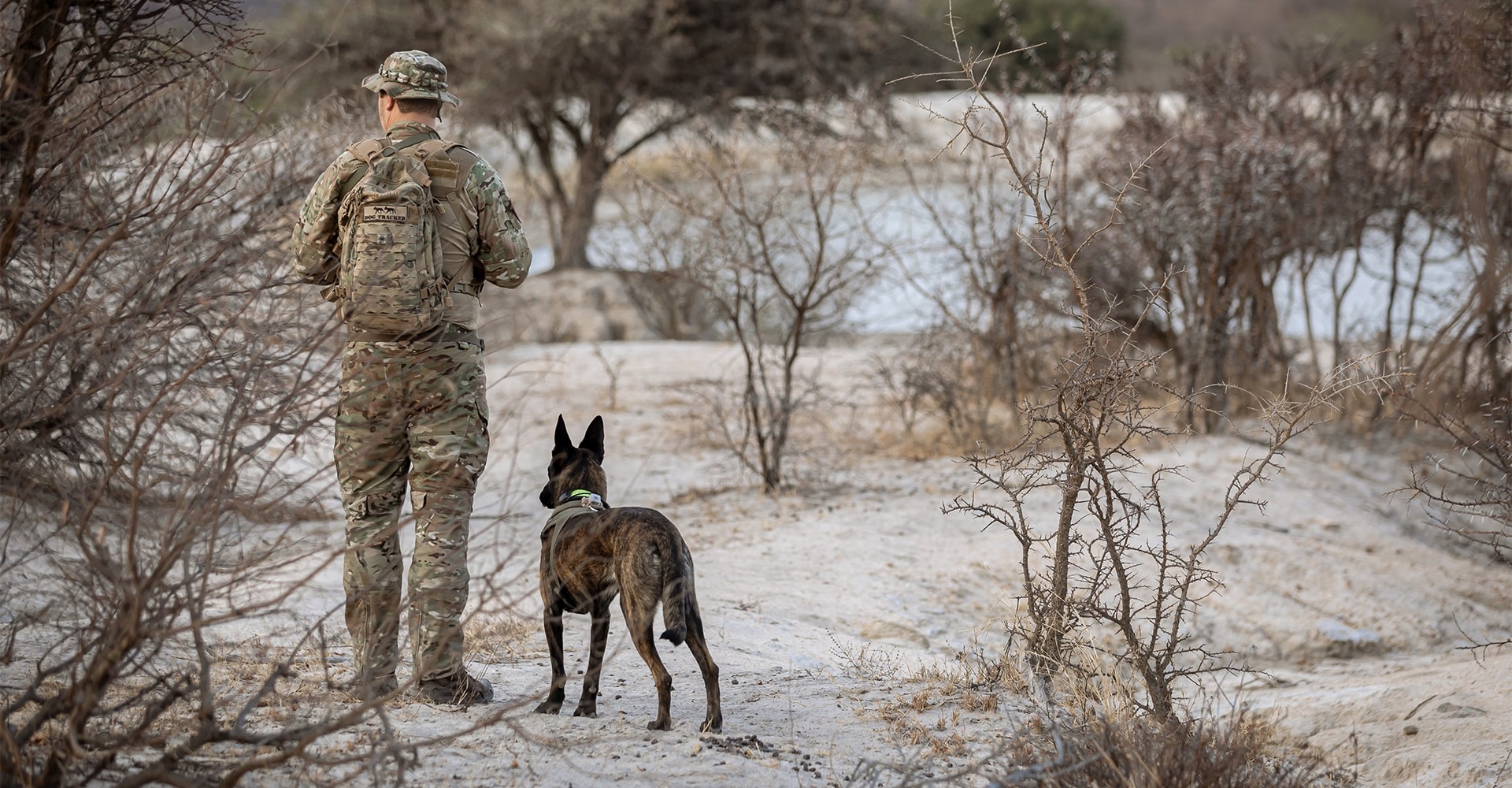 K9 Dogs and Park Rangers: Tactical Tracking Partners | UF PRO Blog